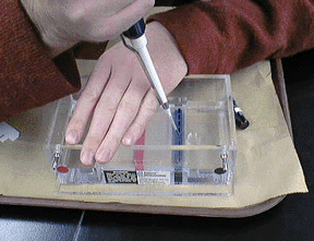 Gel Electrophoresis Materials and Methods